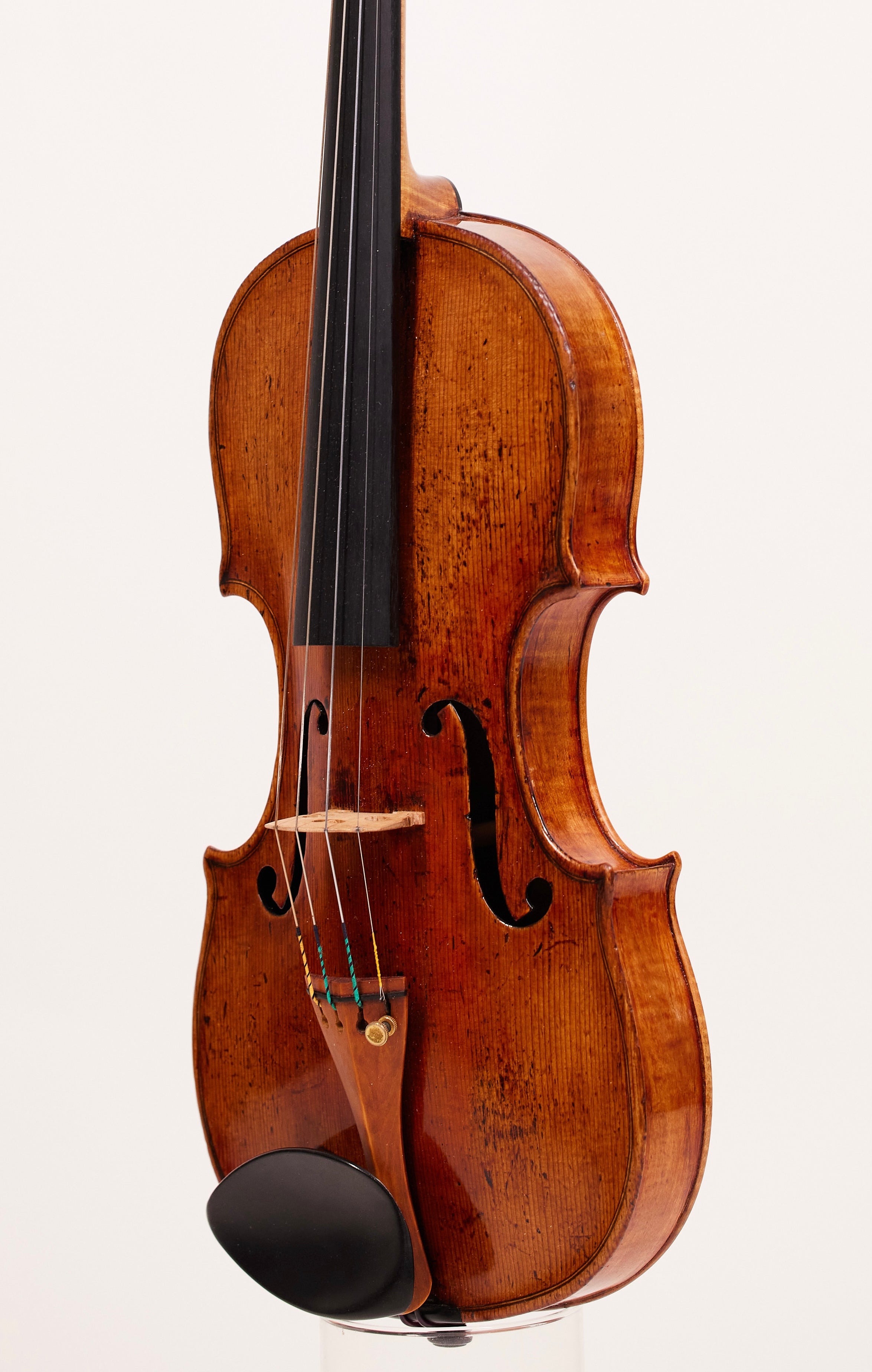 A Rare, Fine Italian Violin By Nicolo Bianchi, 1835. – Cohen Violins